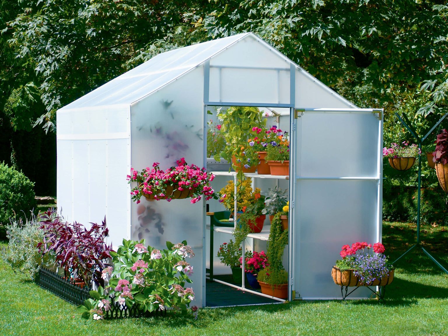 Solexx Greenhouses for Sale — Enhanced Leisure